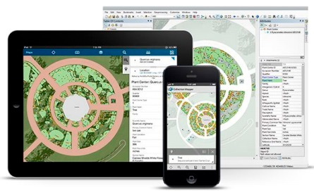 Imagem - Esri Official Distributor - Plataforma ArcGIS: Software GIS ...